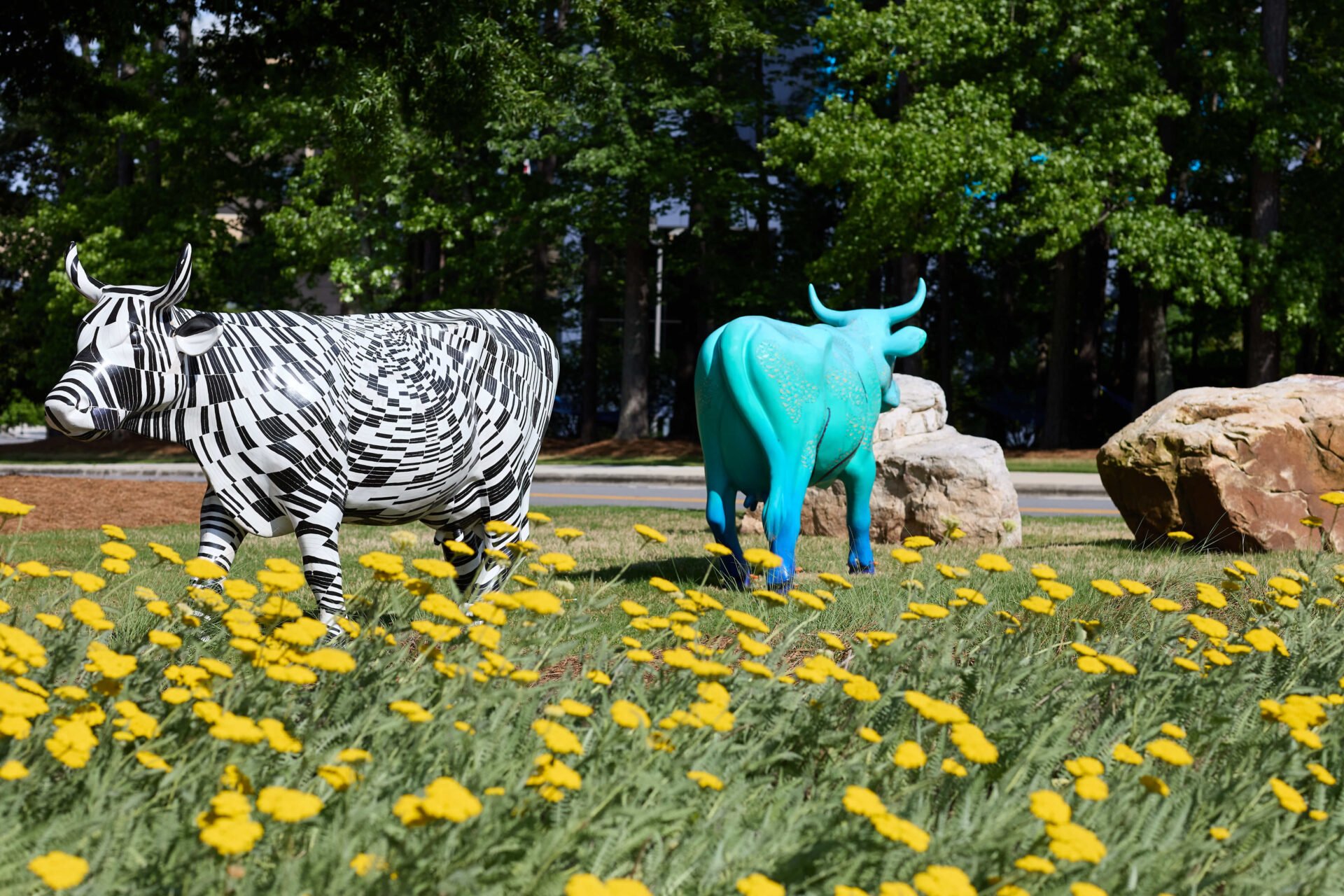 Cow Parade - Hub RTP